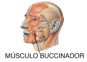 Cirugía de bolas de bichat: estiliza tu rostro